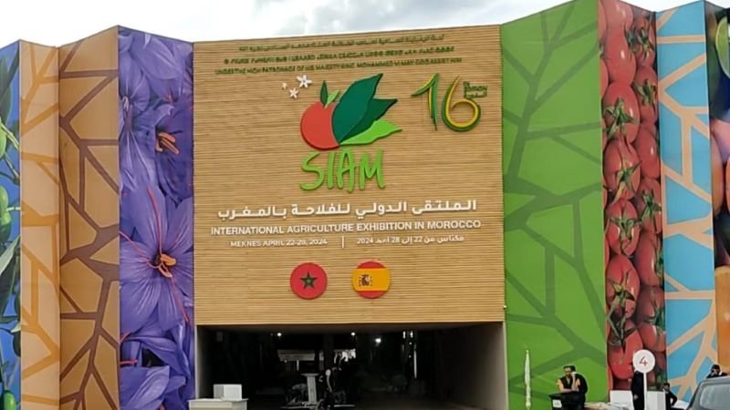 Strengthening Hispano-Moroccan Relations through the XVI International ...